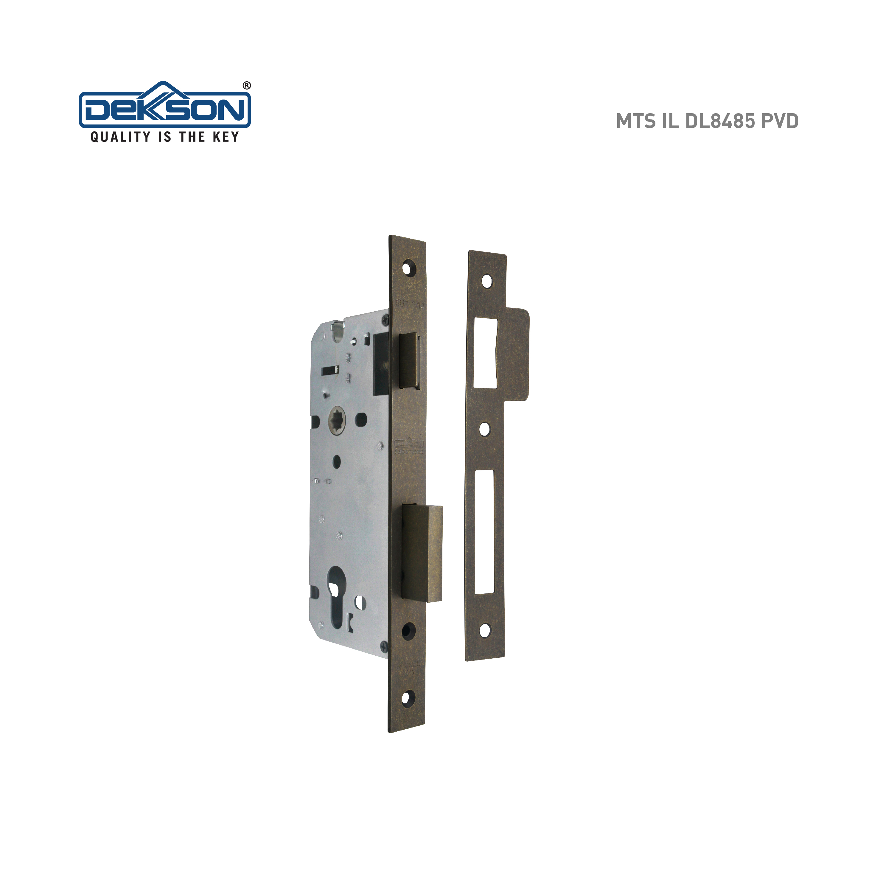 MORTISE LOCK MTS IL DL8585 RAB | Dekkson | Door handle & closer, floor ...